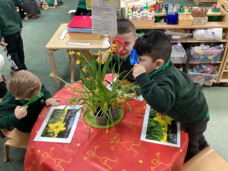 Hawthorn Primary School - Spring has sprung!