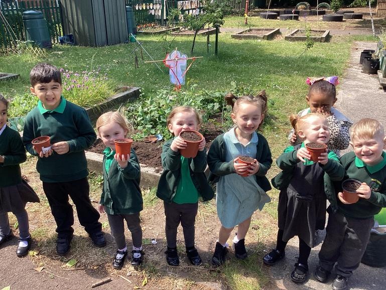 Hawthorn Primary School - Oliver's Vegetables