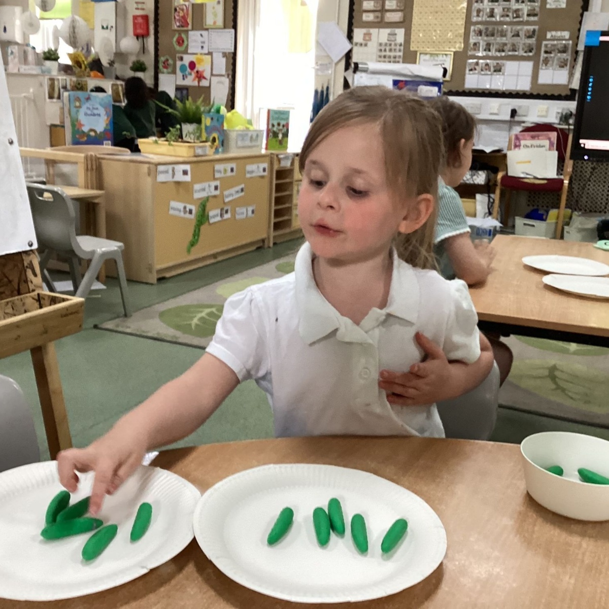 Hawthorn Primary School - Item Not Available