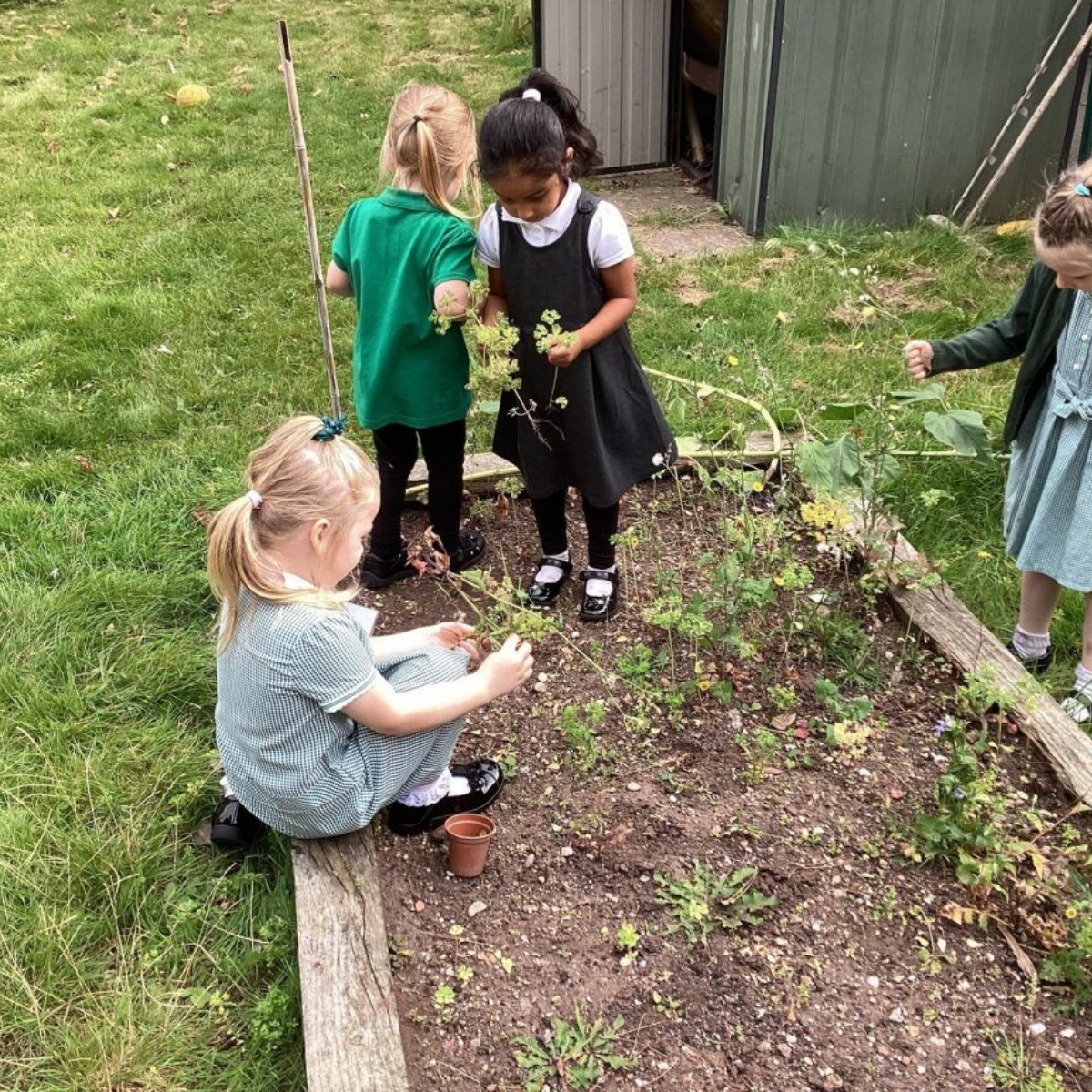 Hawthorn Primary School - Item Not Available